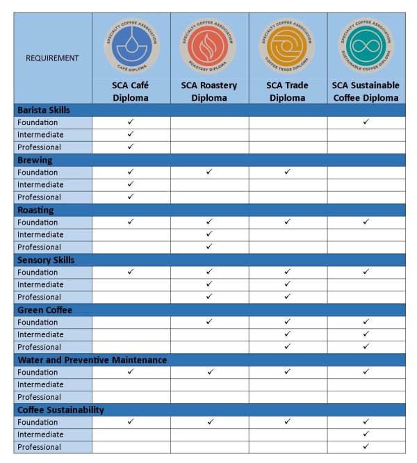 SCA Skills Diplomas – CityPro